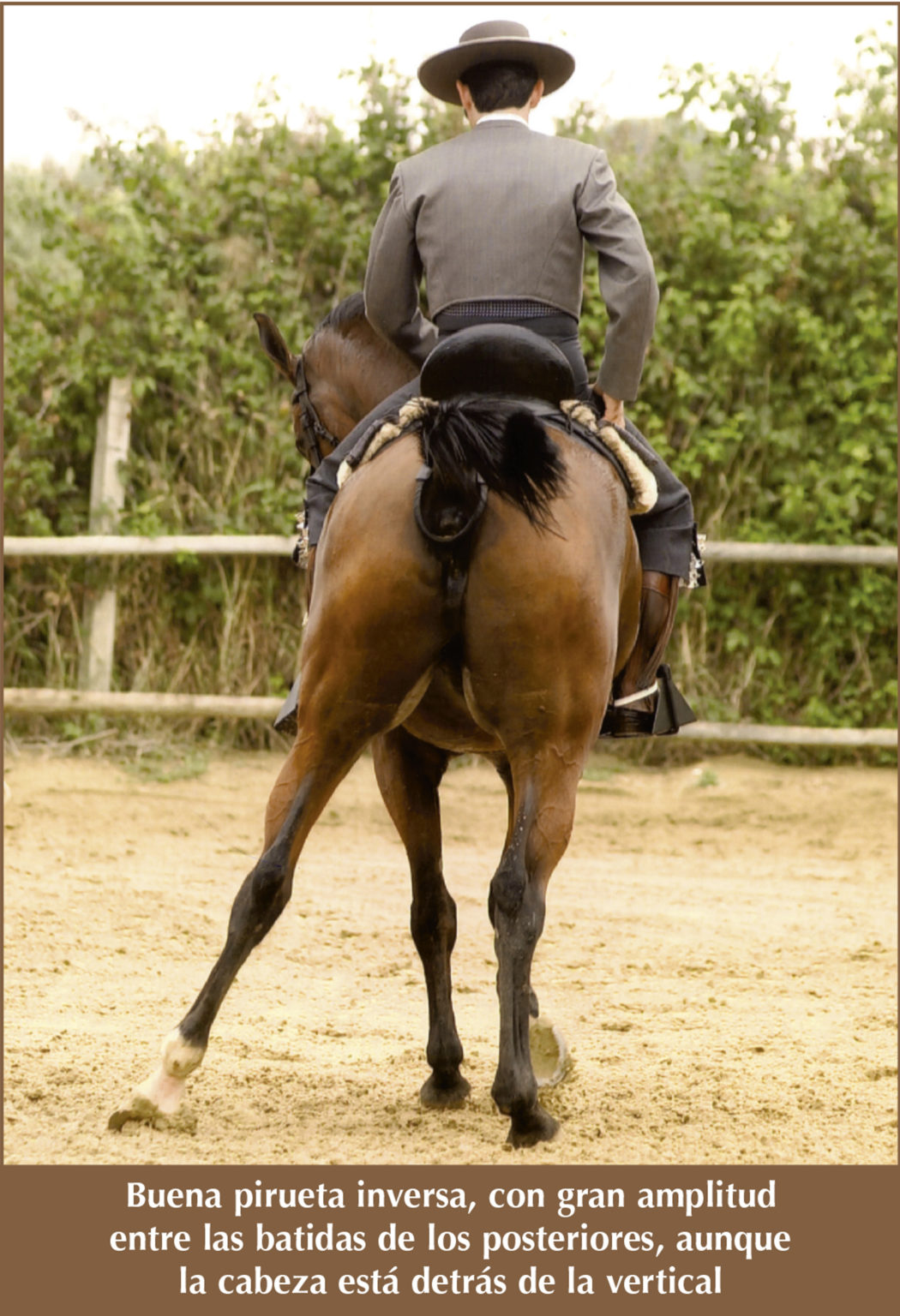 Piruetas inversas al paso en Doma Vaquera - Galope Digital