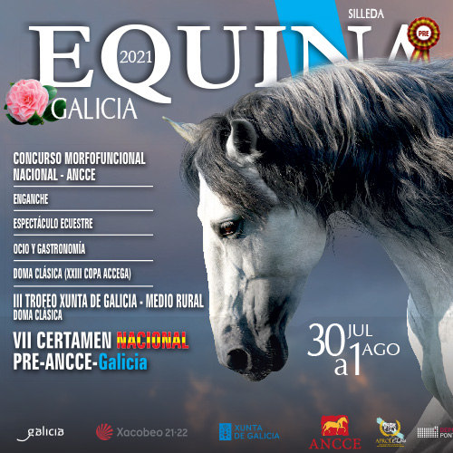 Aprende la Escala de Adiestramiento con el CAVA - Galope Digital