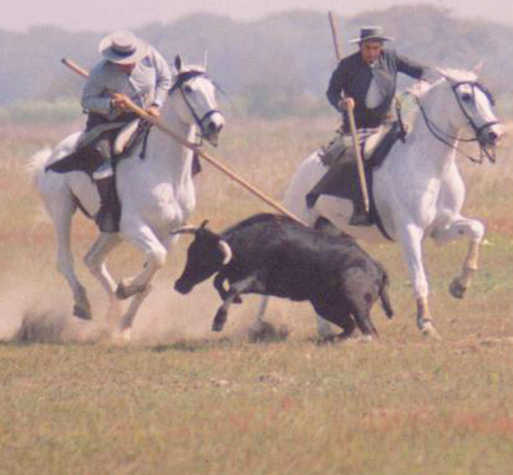 Homenaje a Juan Carlos Buendía “El Garrochista” - Galope Digital