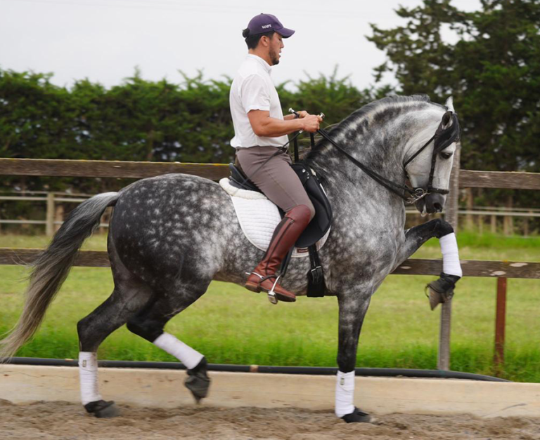 Todo sobre las capas menos conocidas del PRE - Galope Digital