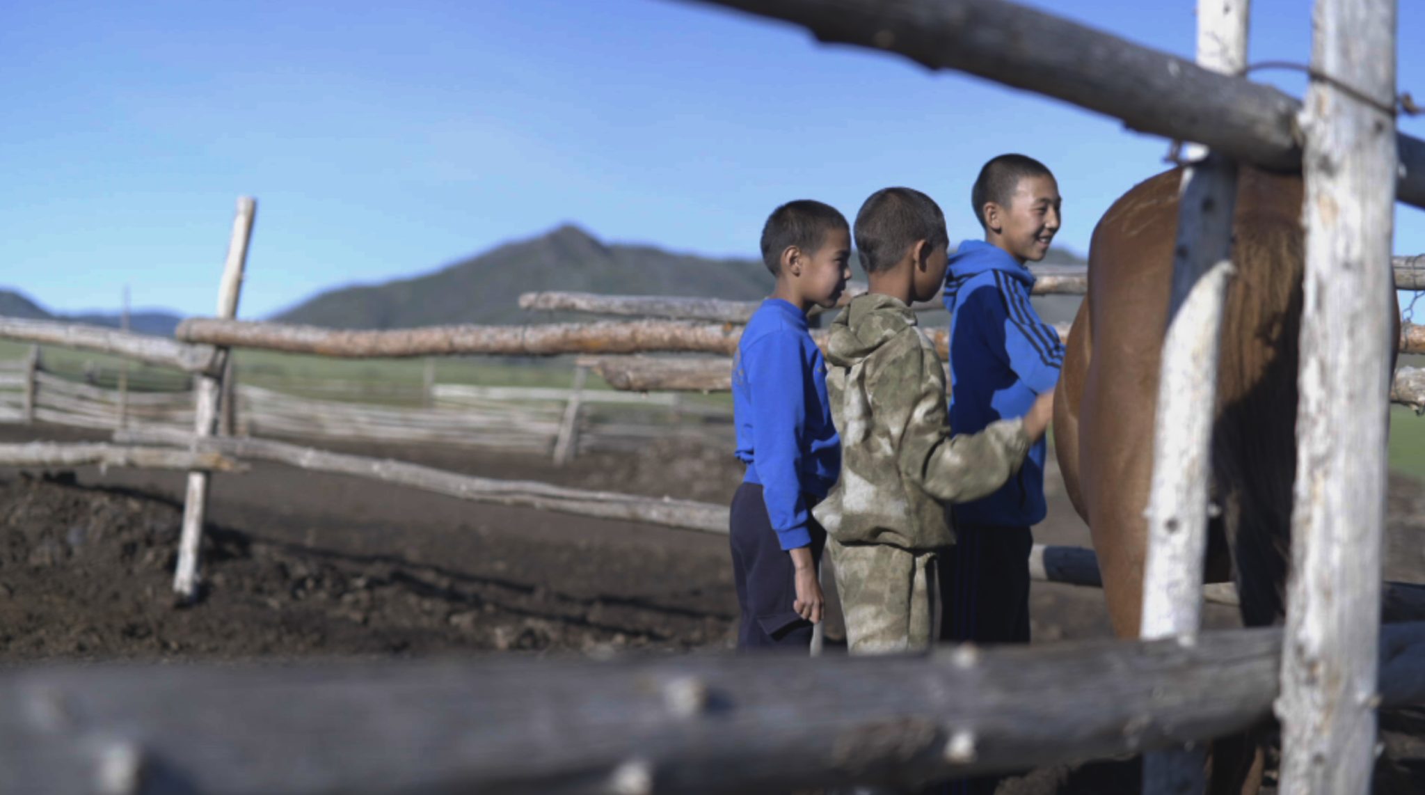 Lucy Rees en Mongolia muestra mejores formas de doma que la brutalidad ...